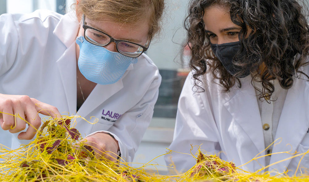 Celebrating Women in Science at Laurier | Wilfrid Laurier University