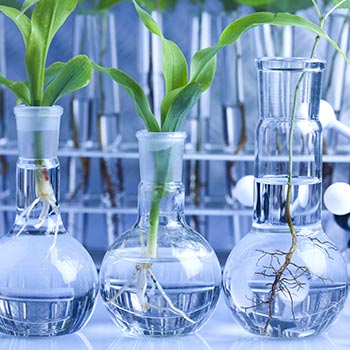 Biochemistry and Biotechnology (BSc) | Wilfrid Laurier University